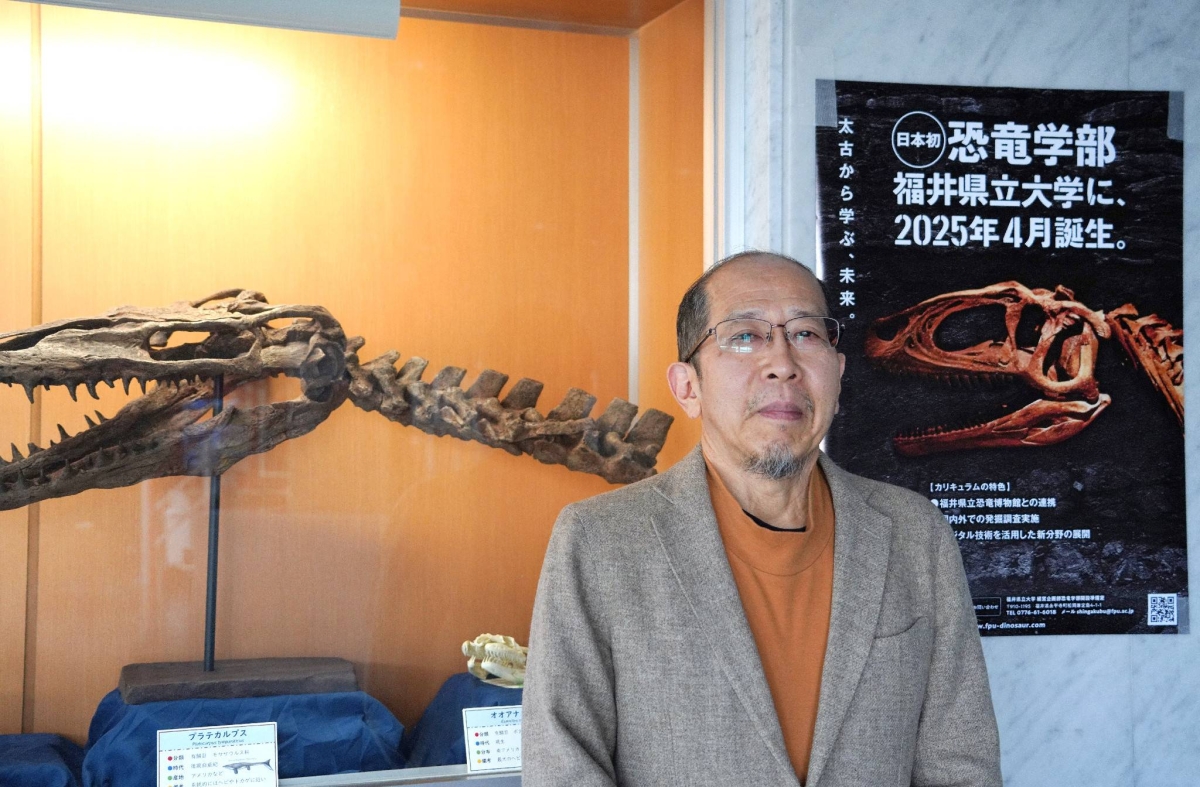 Japan’s first dinosaur department opens at university in Fukui | CVHD ...