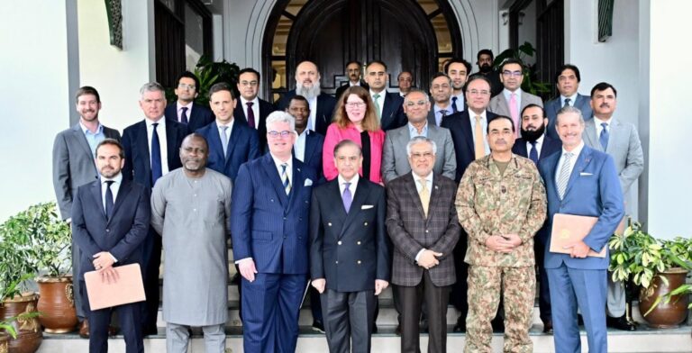 Pakistan joins global race for Critical Minerals in Landmark $500Mn US ...