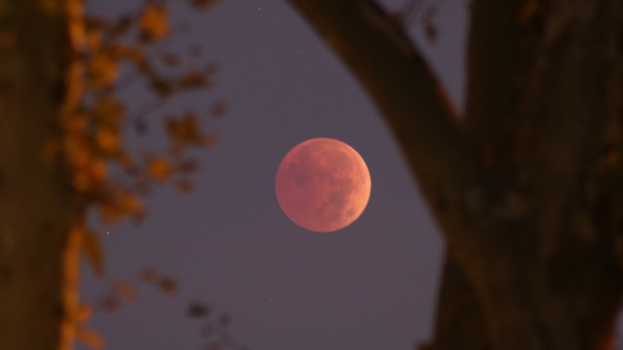 When and Where to watch Blood Moon in Pakistan? | CVHD - Citizens'